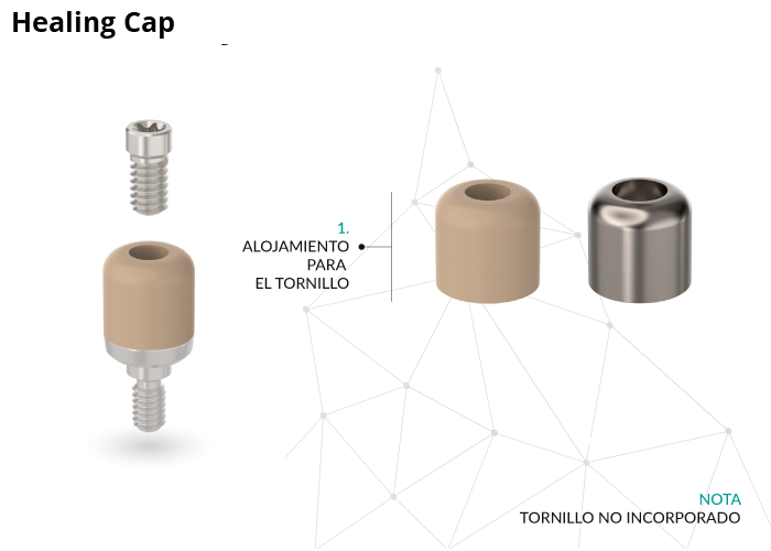 Healing Cap