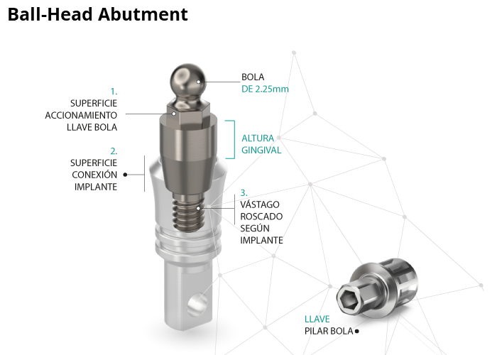 Ball Abutment
